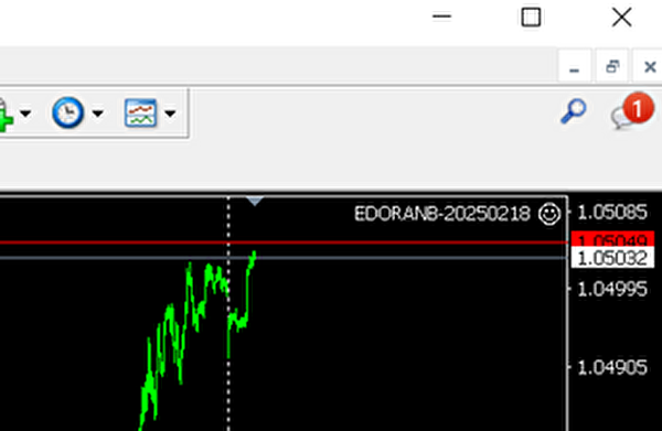 江戸乱舞：EA設定マニュアル | らんのFX自動売買マスター教室