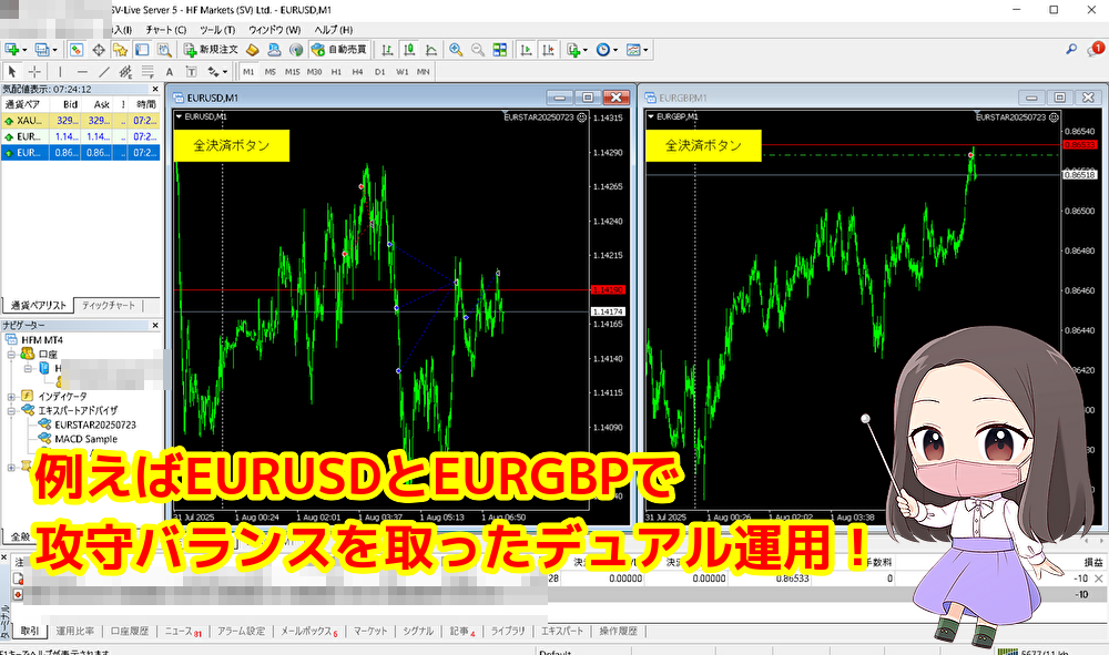 EUR★STAR：設定マニュアル | らんのFX自動売買マスター教室